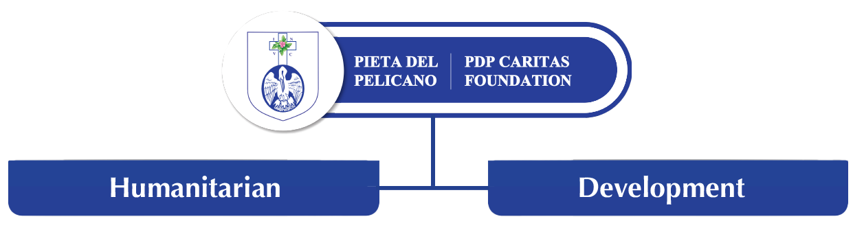 PDP Foundation